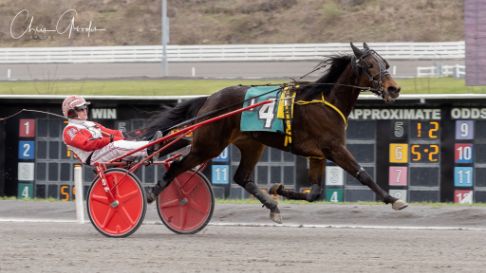 Horse Racing | Hollywood Casino at the Meadows