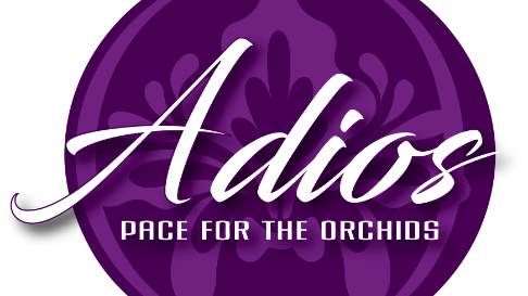 Horse Racing | Hollywood Casino at the Meadows