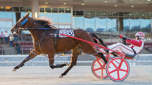 Horse Racing | Hollywood Casino at the Meadows