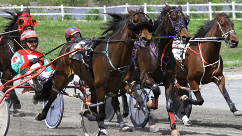 Horse Racing | Hollywood Casino at the Meadows